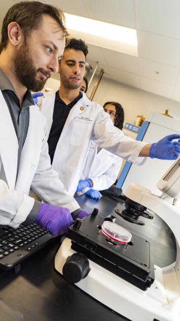 Graduate School Admissions | D'Youville University